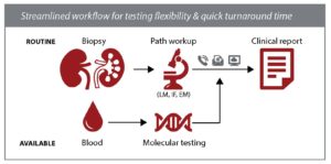 Primary Diagnosis - WashU Medicine Pathology Services | Washington University in St. Louis