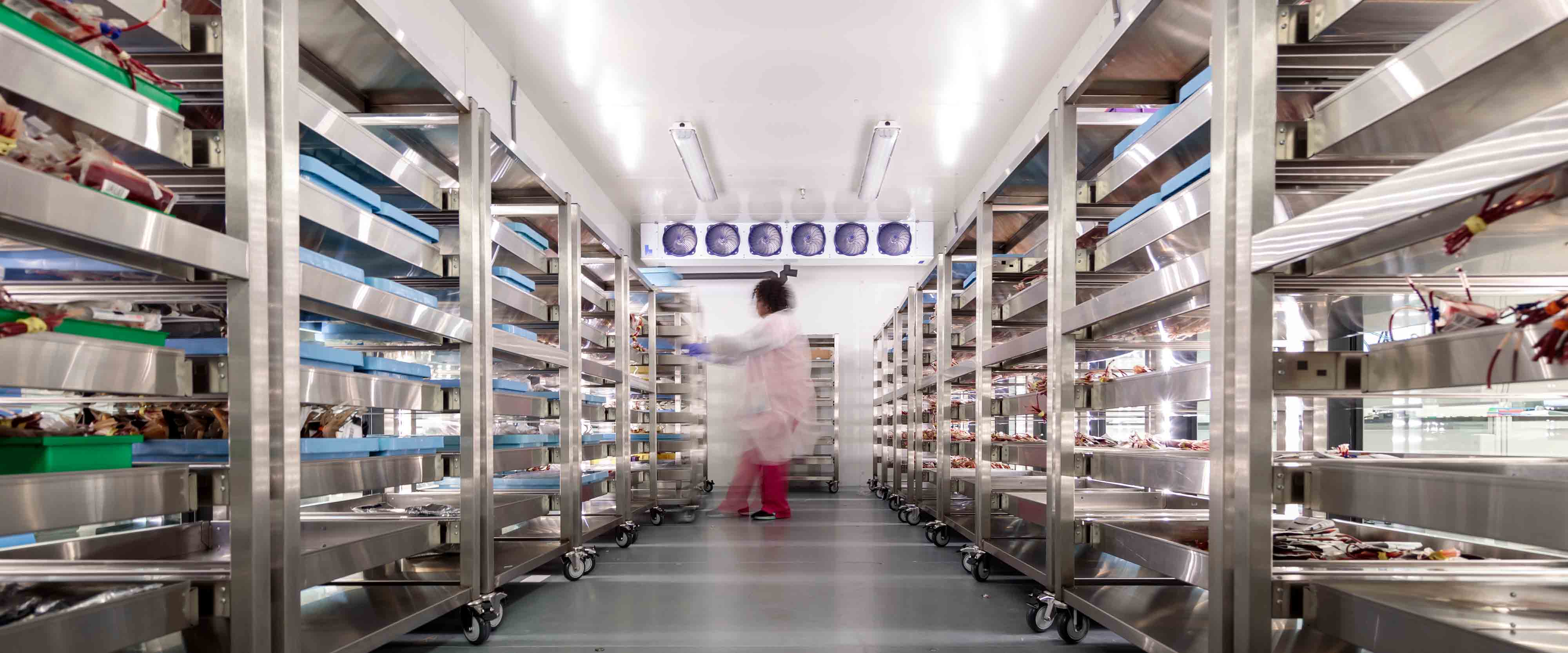 Home - Washington University Pathology Services