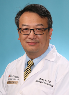 Mai (Mike) He, MD, PhD - Washington University Pathology Services